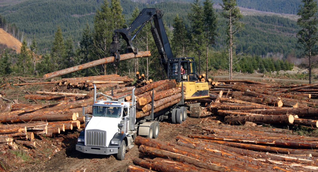 U.S. Lumber Coalition supports Commerce Department's continued ...